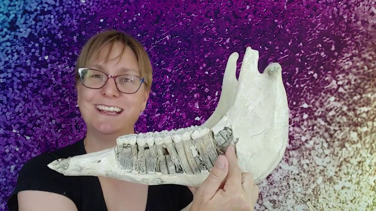 Introduction to the Jaws of Life project - YouTube