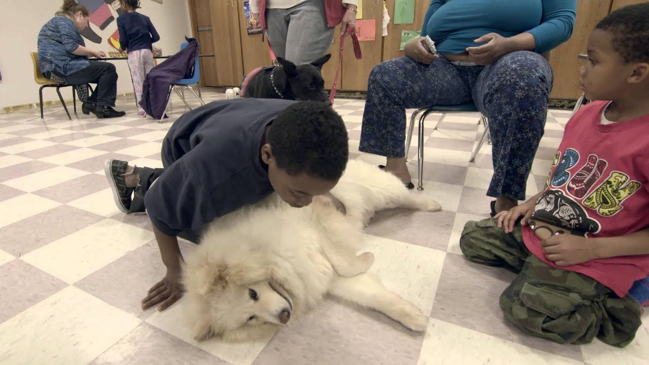 Home for Life's animals assist in outreach programs - YouTube