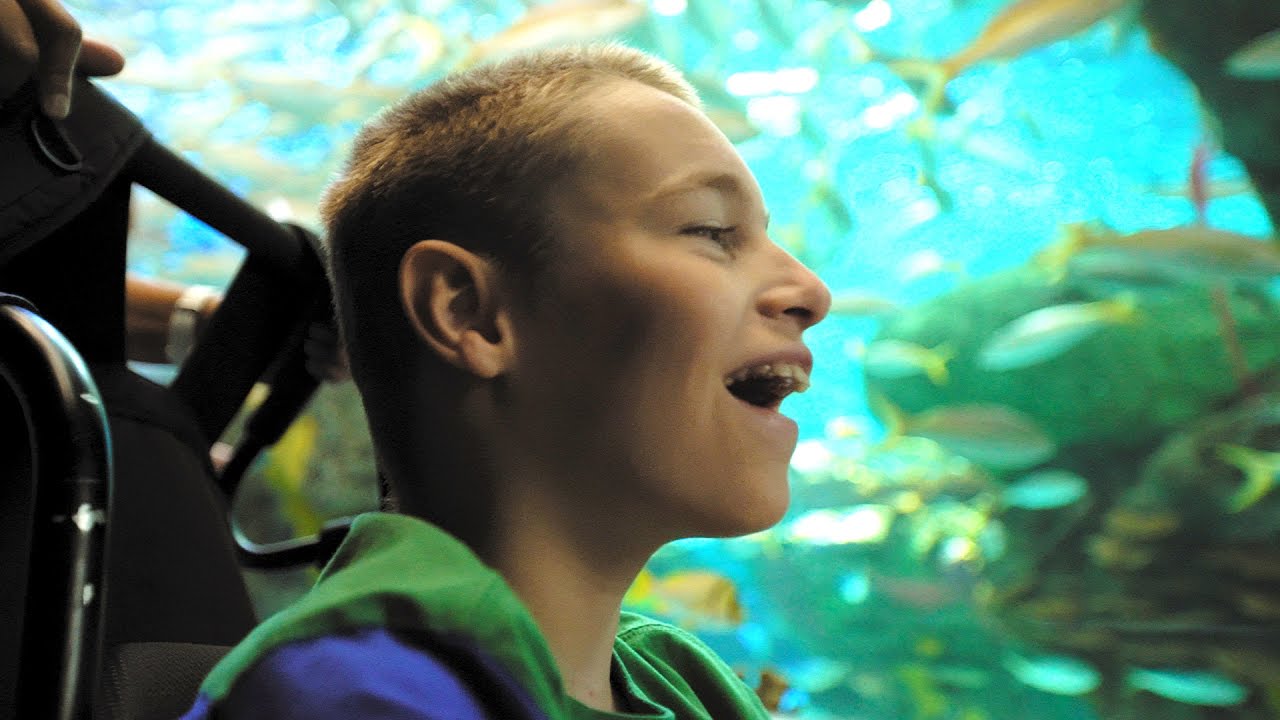 Meet Callum & Read All About his Special Journey - YouTube