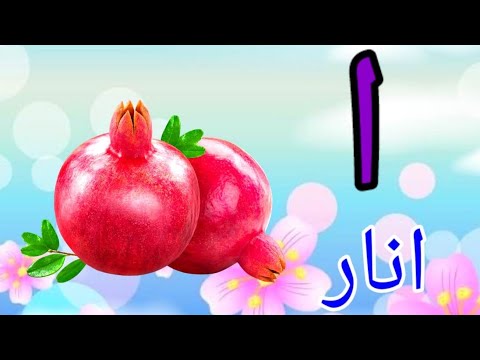 Alif Baa Taa, Urdu Alphabet,Arabic Urdu alif ba pa, Learn Urdu word ...