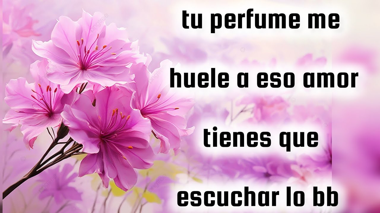 tu perfume me huele a eso amor tienes que escuchar lo bb - YouTube