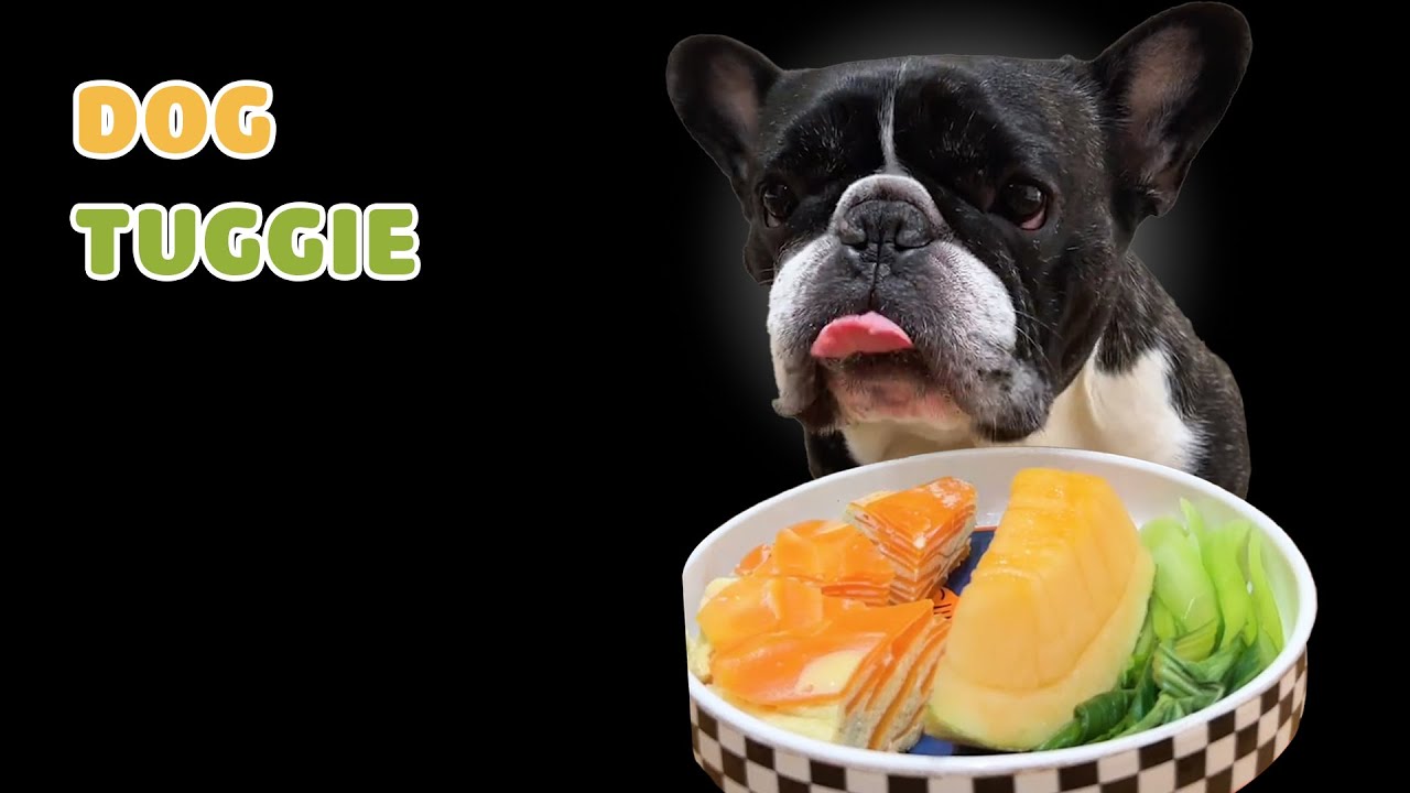 Dog Tuggie is eating fruits - YouTube