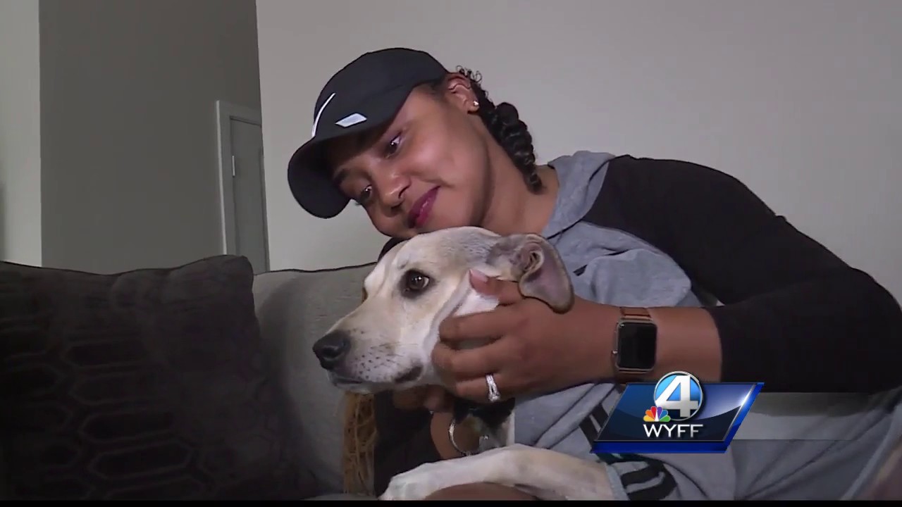 Does it Work? Rover Website - YouTube