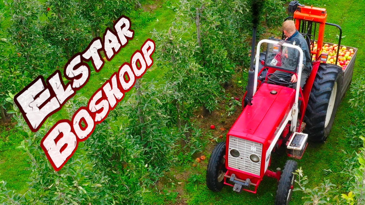 Elstar Elshof and Boskoop | Harvest 2020 - YouTube