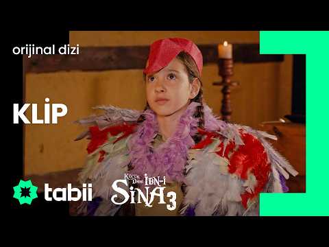 Kuş Dili ve Edebiyatı 🐣 | İbn-i Sina 24 Bölüm
