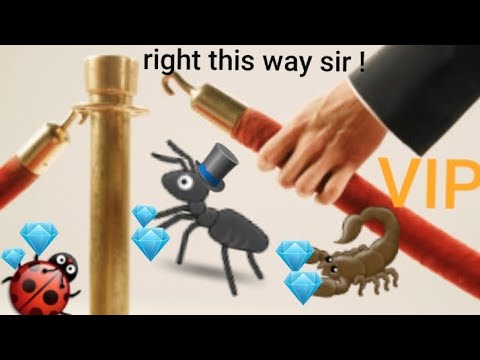 VIP and rewards: Ants Underground Kingdom tips tutorial gameplay special - YouTube