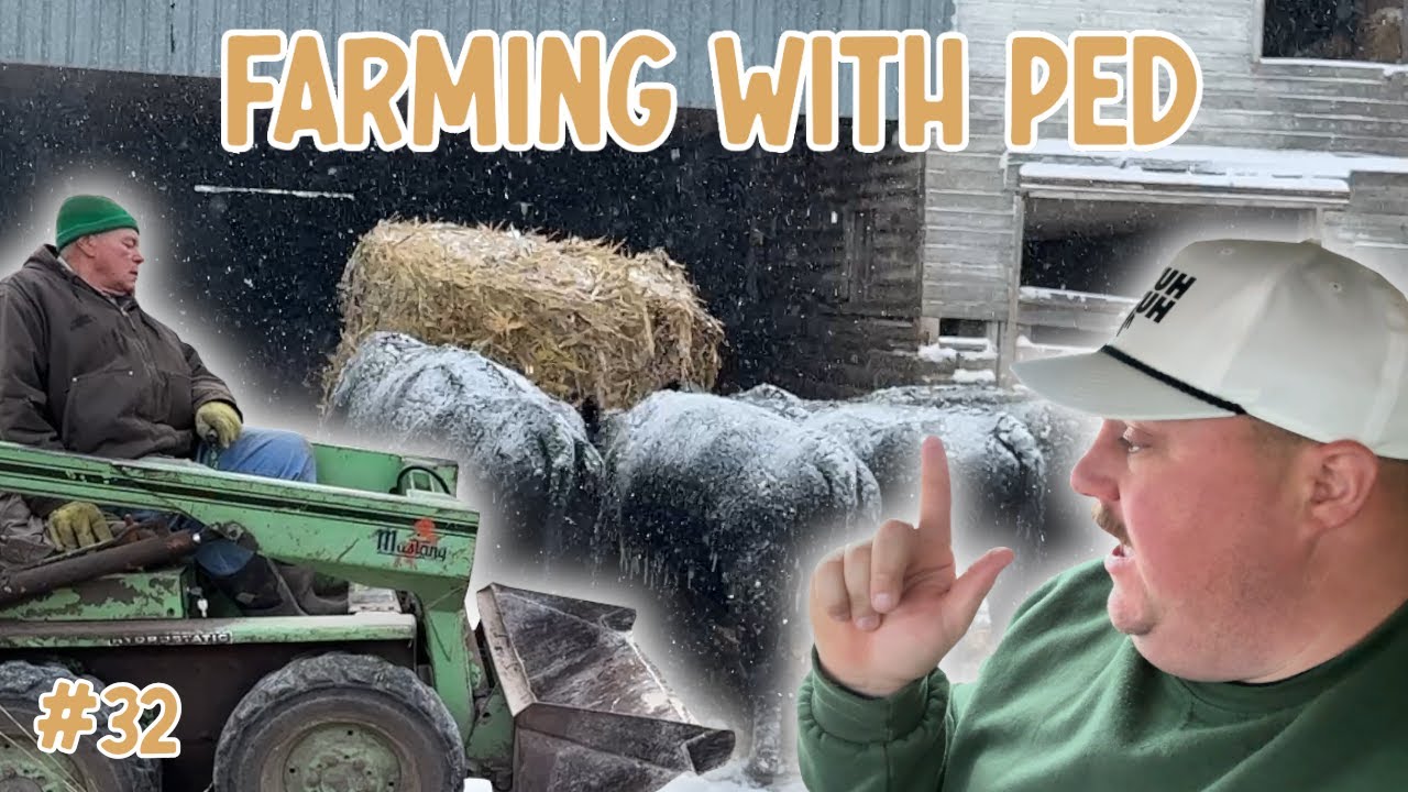 A Farmer's Frenzy, From Black Friday to First Blizzard | Farming with ...