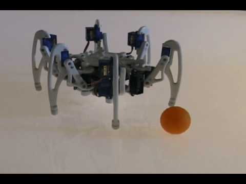 Robot hexapode Micro Base - YouTube