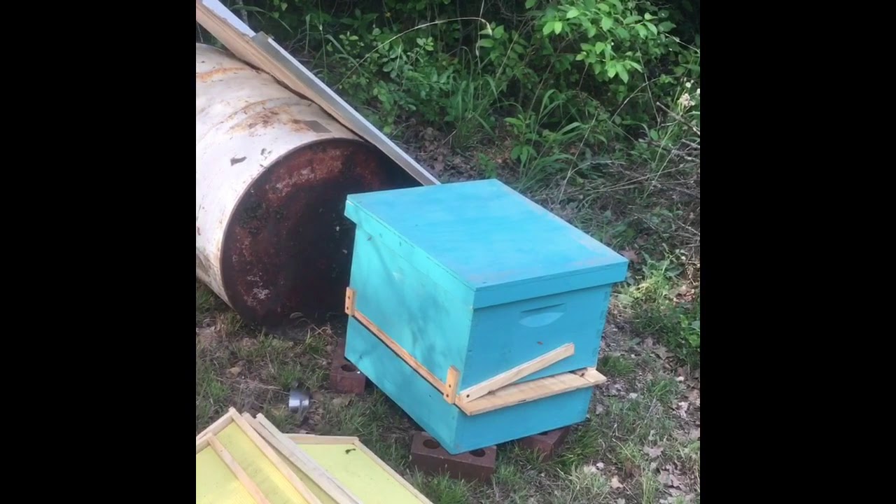 Making Bottom Boards for Bee Hive - YouTube