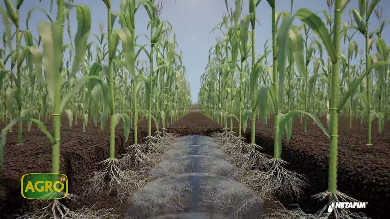 Nuevas tecnologías y manejos del líder global en riego de precisión ...