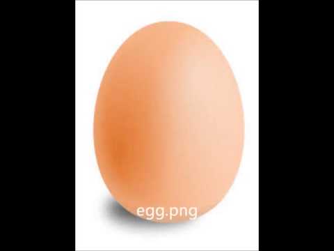 egg png