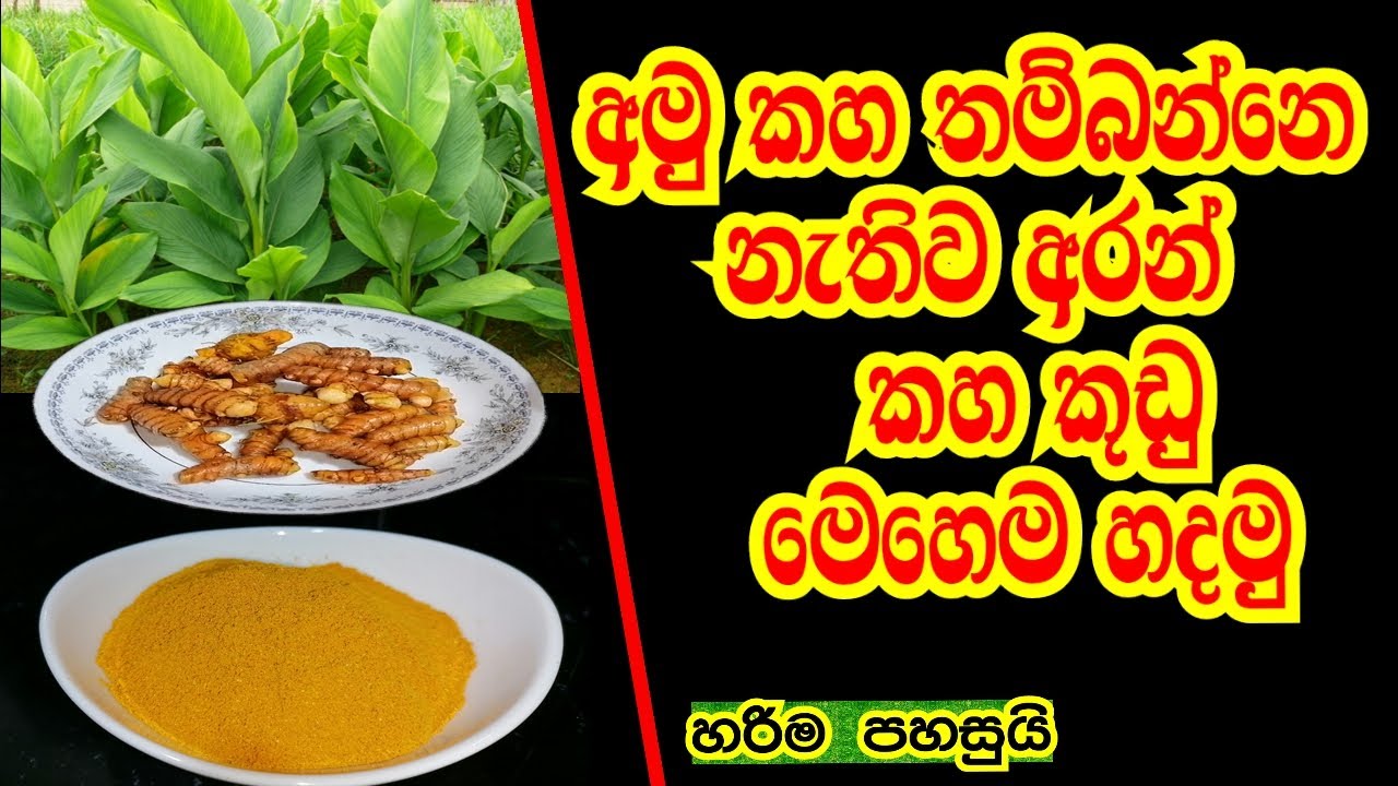 අමු කහ තම්බන්නෙ නැතිව කහ කුඩු හදන විදිය | IWUM PIHUM KALAWA - YouTube