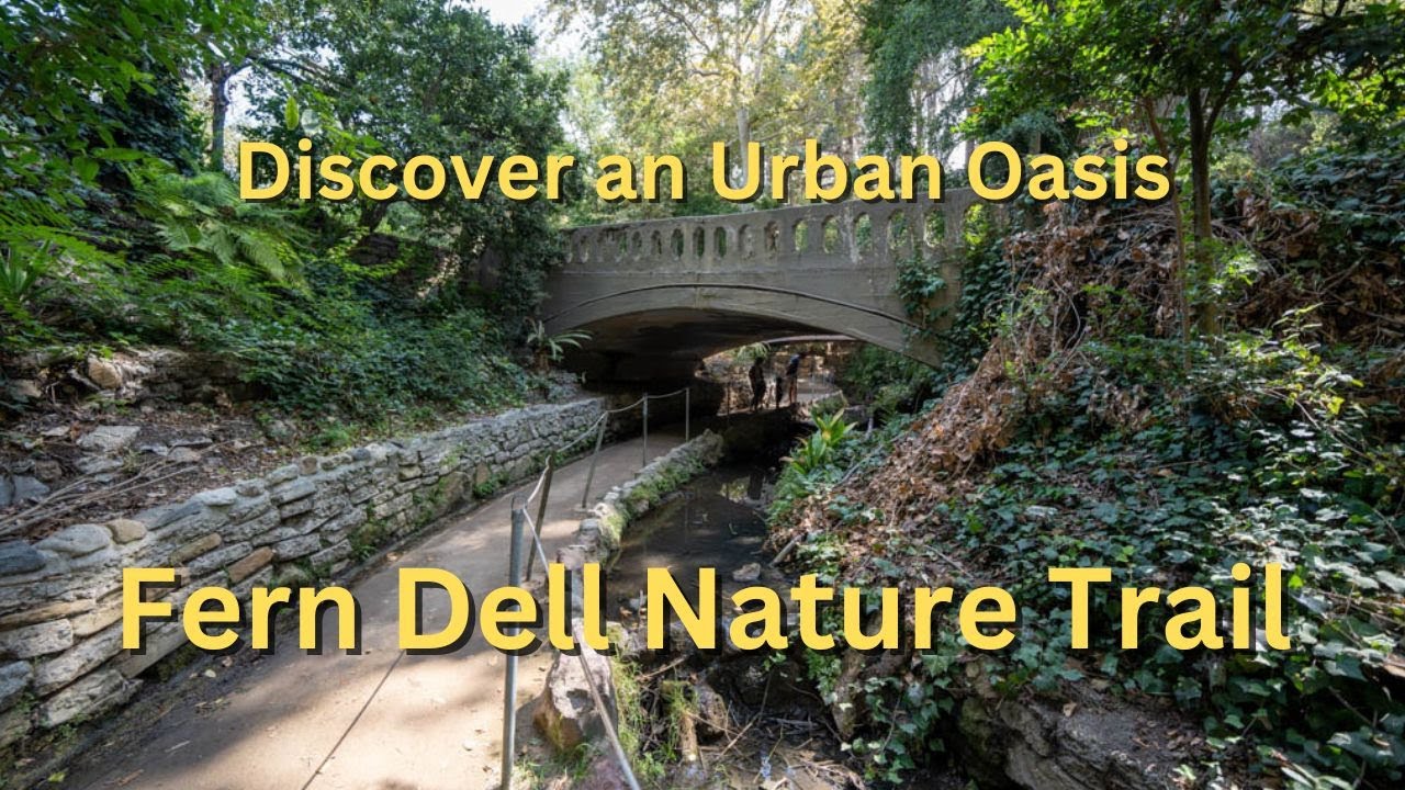 Discover an Urban Oasis: Fern Dell Nature Trail - YouTube