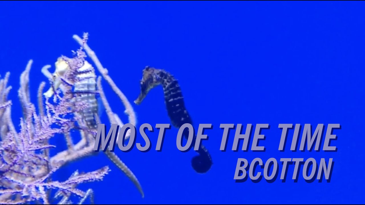 Most of the Time [Bob Dylan cover] - YouTube