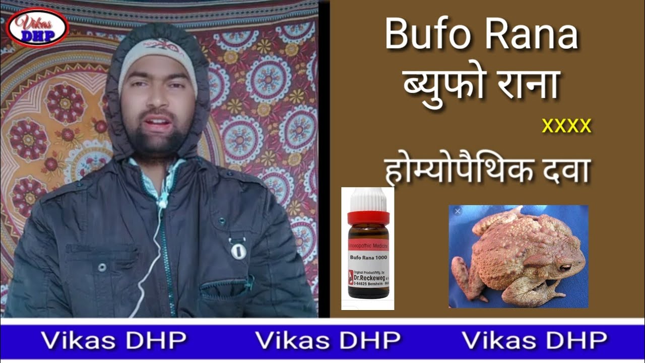 bufo rana homeopathic medicine benefits। bufo rana 200। bufo rana। bufo ...