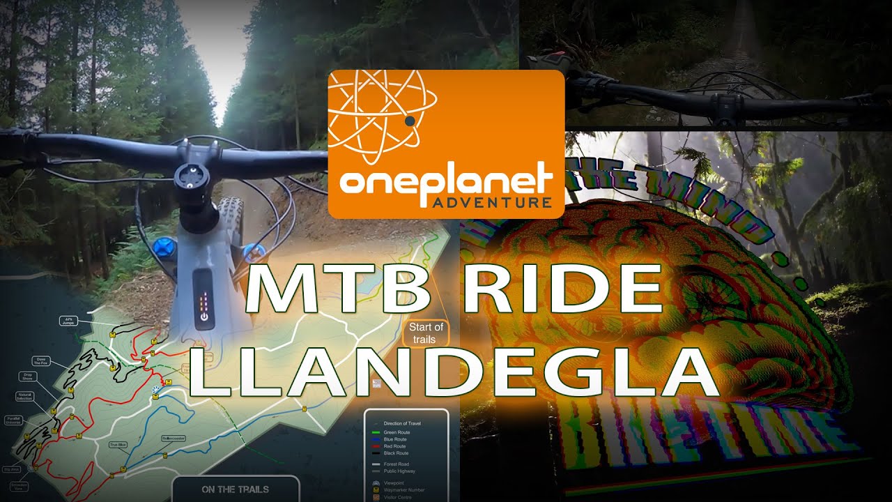 Best bits of OnePlanet Adventure mountain biking forest trails #mtb # ...