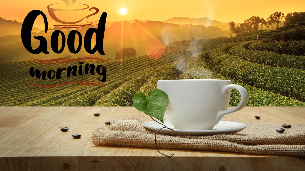Good Morning Sunshine Coffee