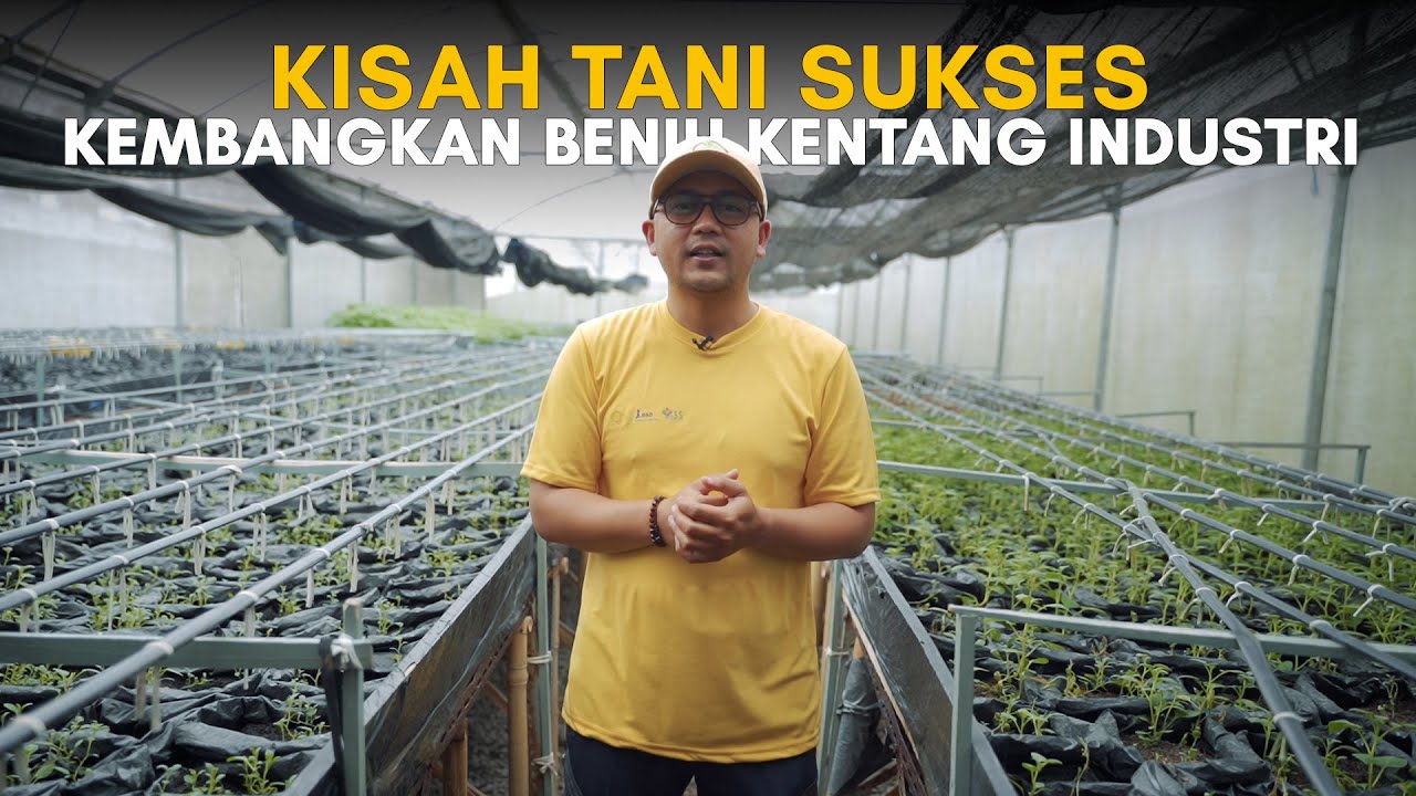 PETANI MUDA SUKSES KEMBANGKAN BENIH KENTANG INDUSTRI - YouTube