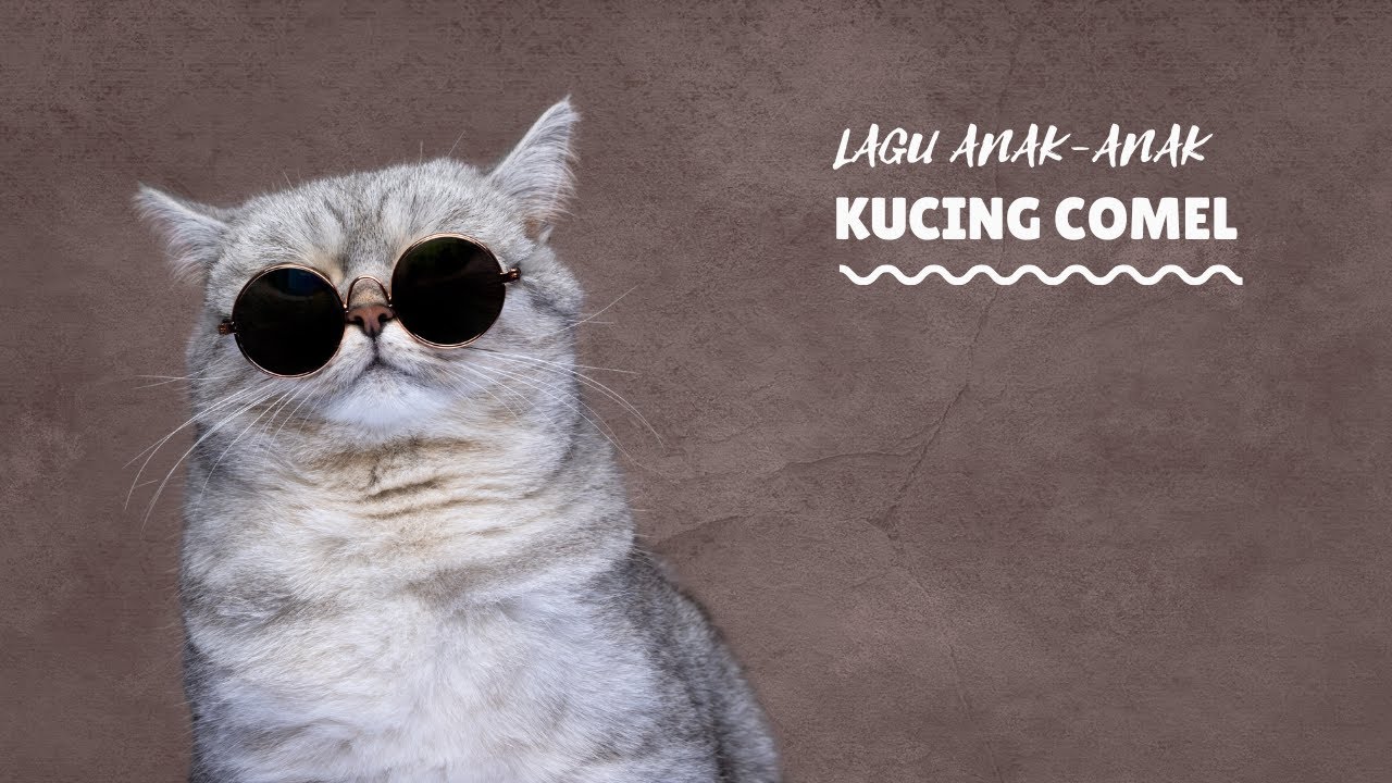 Hewan hewan bermain - Kucing Comel #anak #roblox #animation #shorts ...
