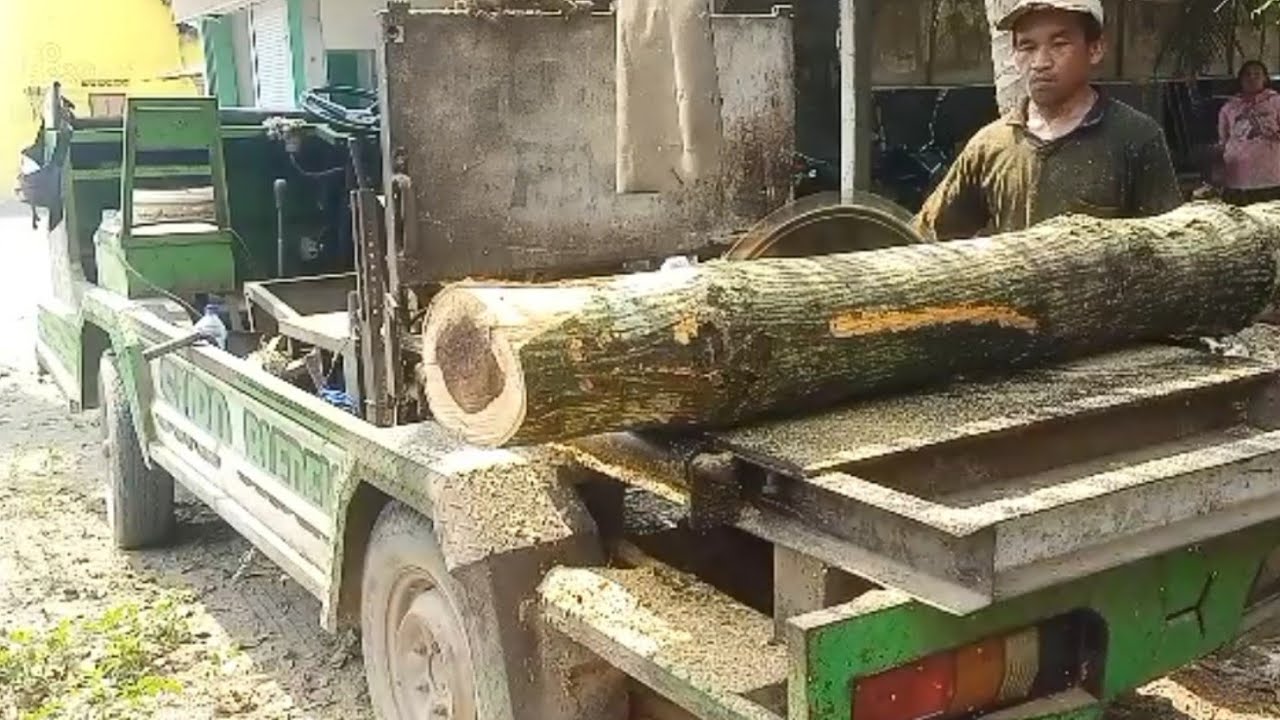 Sebatang Kayu Berharga..!! Gergaji Batang kayu jowar dibuat gladakan ...