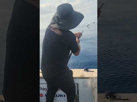 Derya Kuzusu... Daha iyileri ve irileri sizin olsun  iyi seyirler...