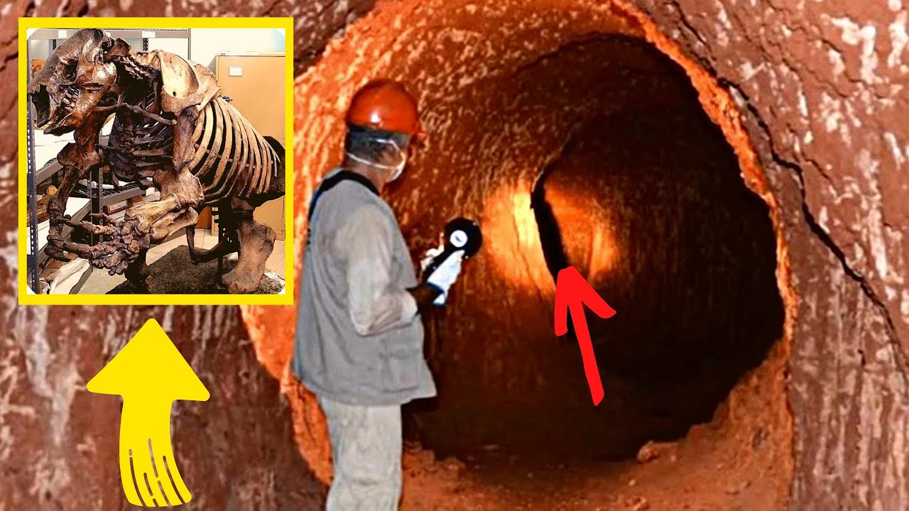 The Massive Tunnel In Brazil Were Actually Dug By One Formidable ...