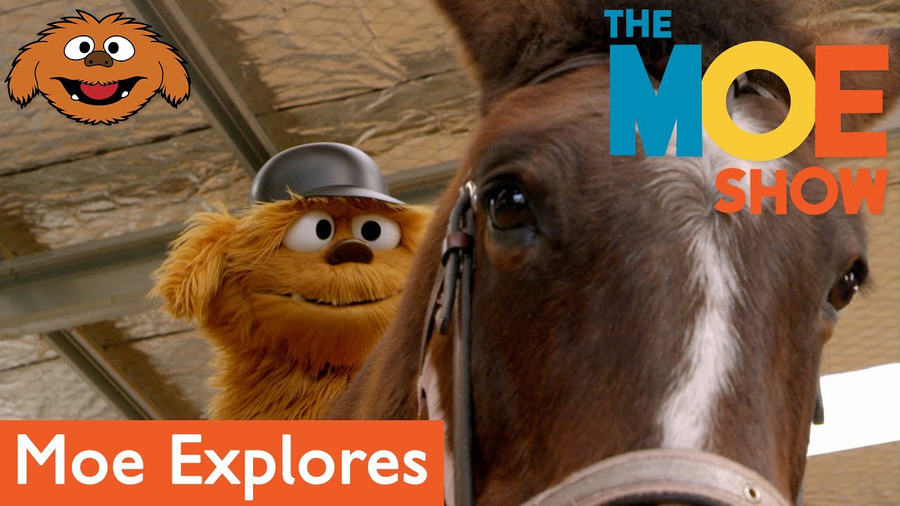 The Moe Show: Moe Explores - Horse Riding - YouTube