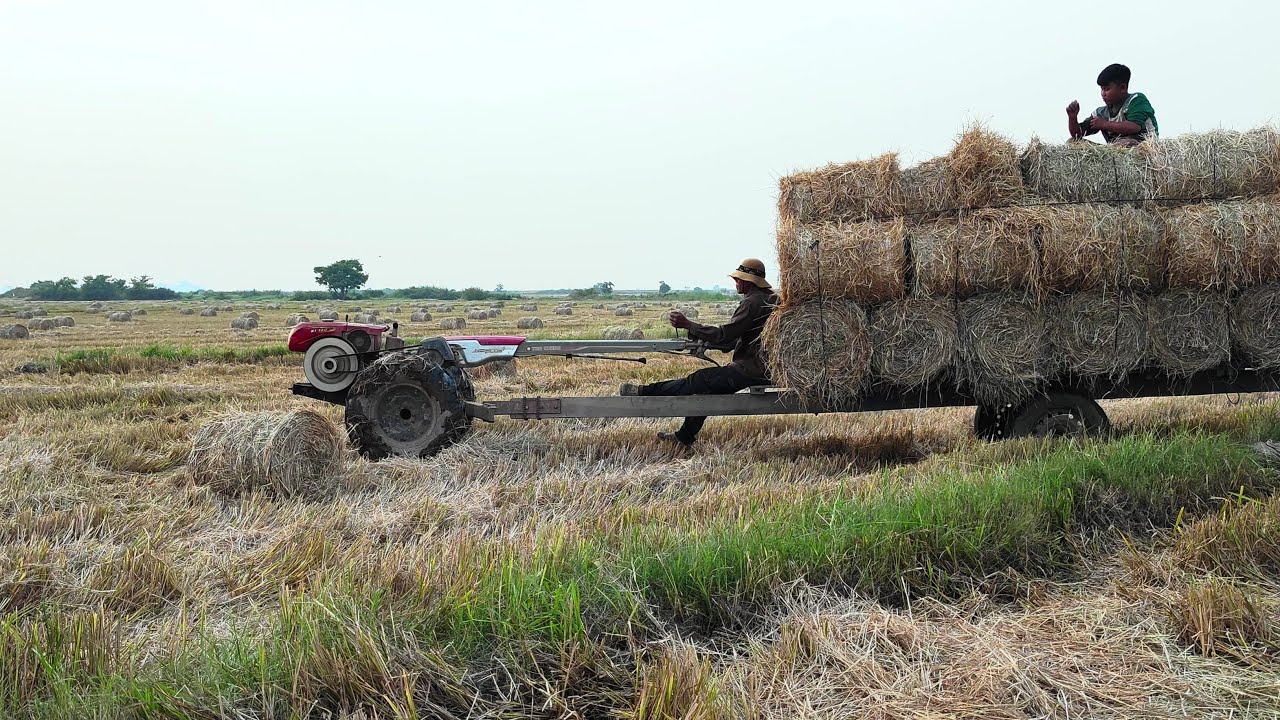 Drive mini tractor for transporting straw ball | Agriculture & Farming ...