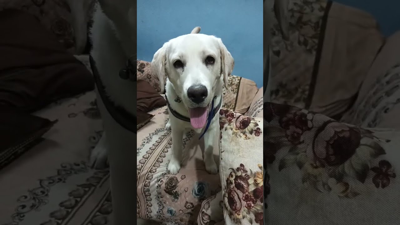 My Sandy is live - YouTube