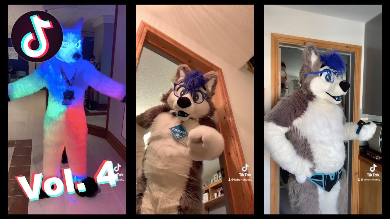 Harry Does TikTok - Vol. 4 - YouTube