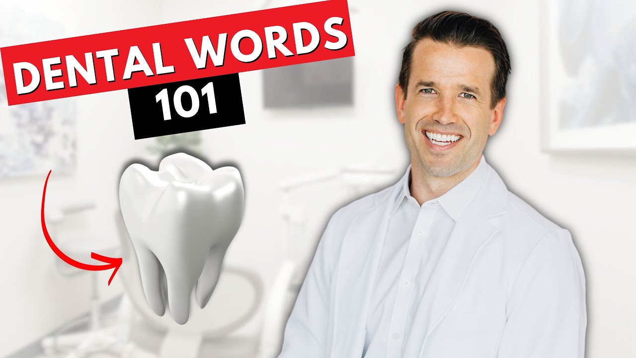 Dental Terminology Basics for Dental Assistants - YouTube