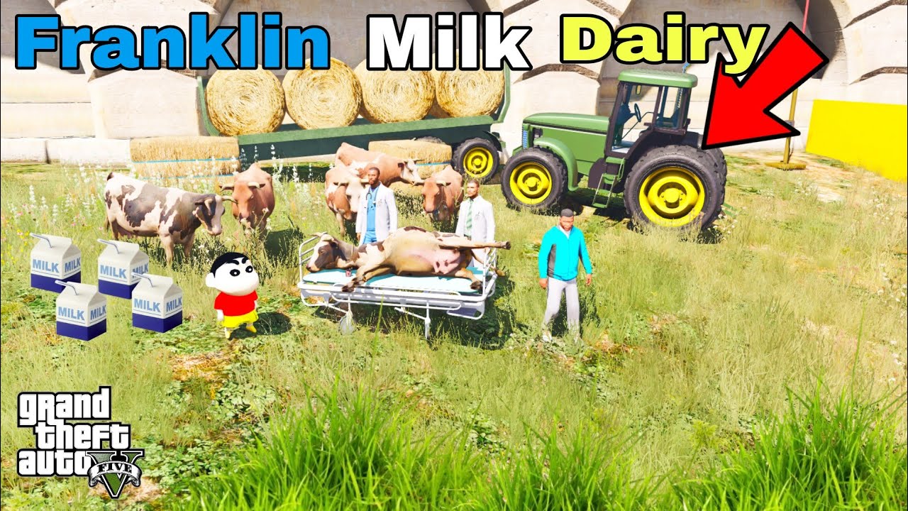 Franklin and Shinchan Sell All Milk From Dairy or Franklin Cows Are ...