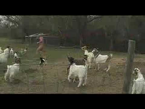 Naked Nude Sexy Streaking BUSHEE! - YouTube