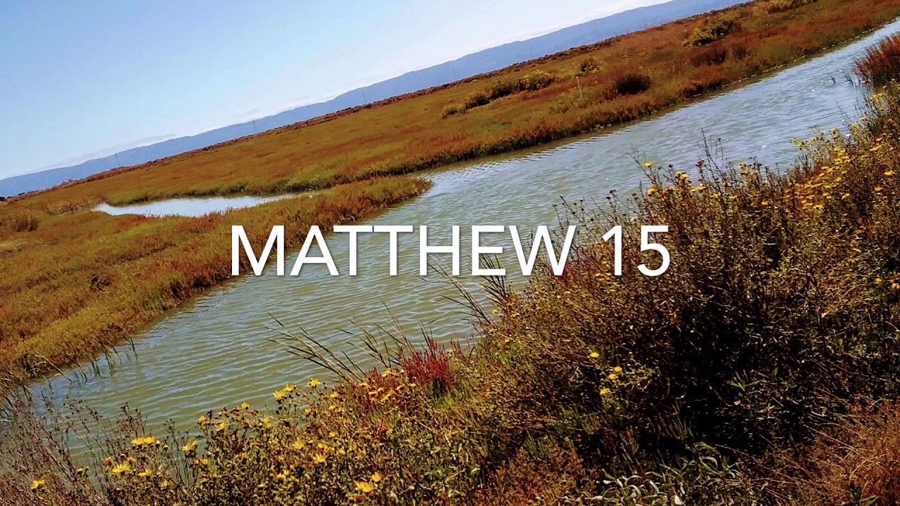 Matthew Chapter 15 - YouTube