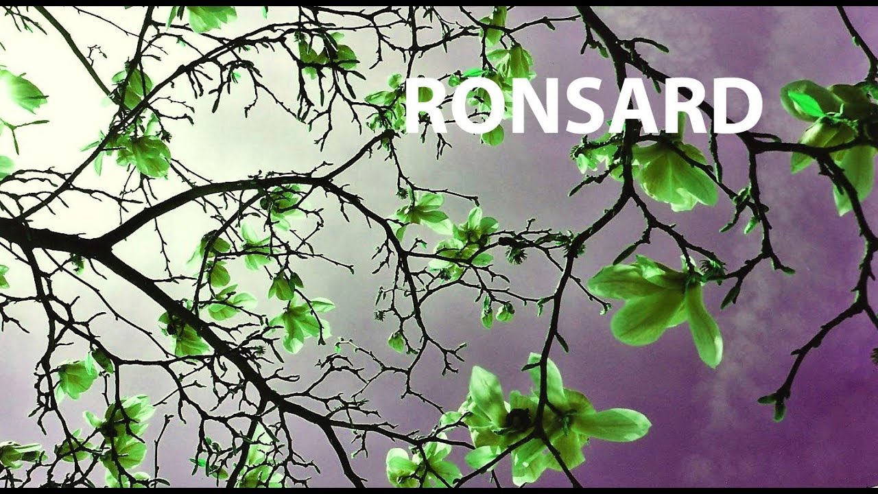 Ronsard Mignonne allons voir si la rose Jehan Chardavoine - YouTube