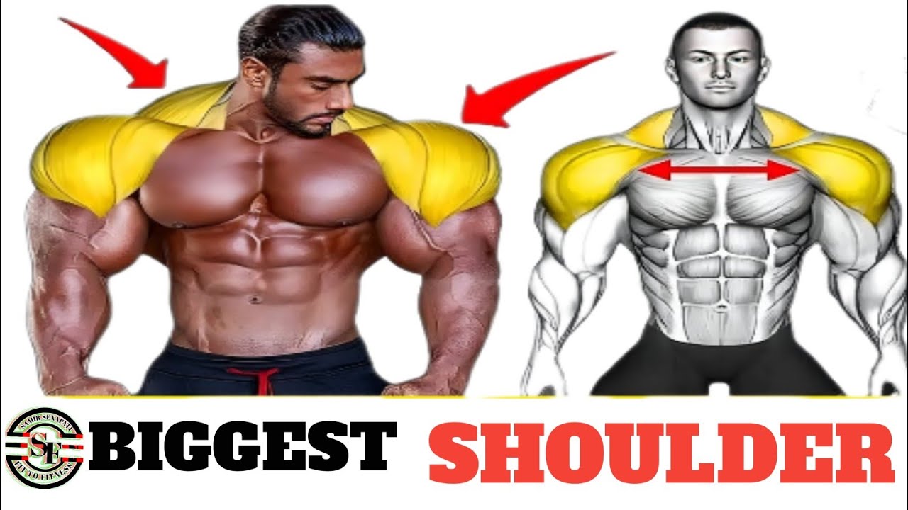 UPPER BODY DUMBBELLS WORKOUT/MUSCLE BUILDING SHOULDER - YouTube