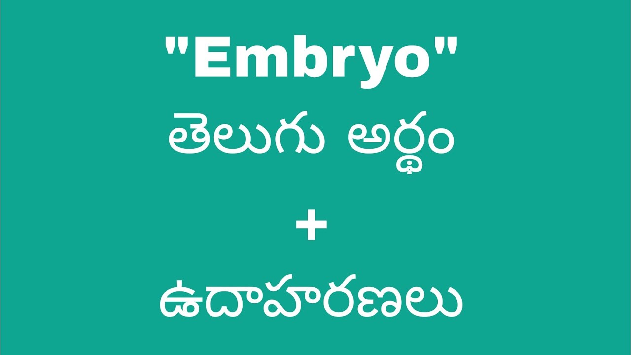 Embryo Meaning In Telugu With Examples Embryo 