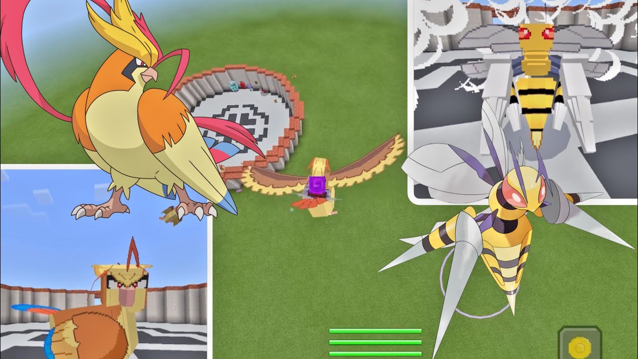 Pokemon Serp / Experience & Expansion Update - Addons - YouTube