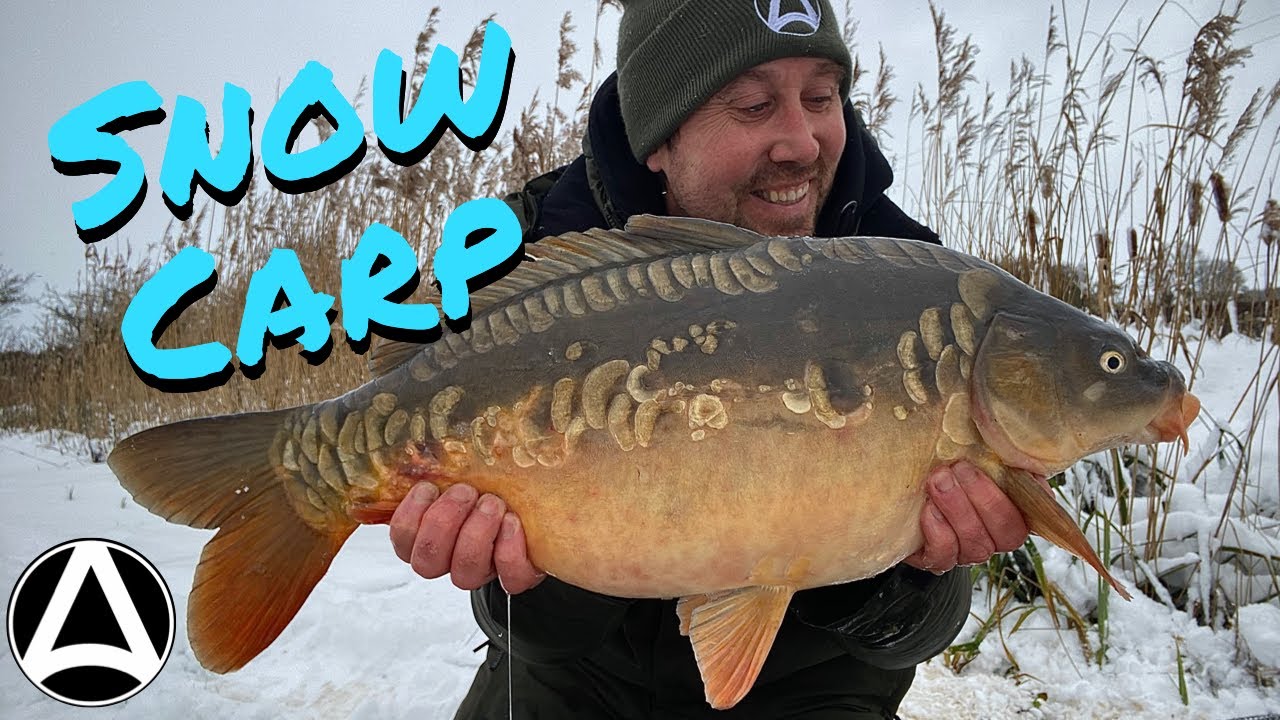 VLOG 1. Carp Fishing in the snow. - YouTube