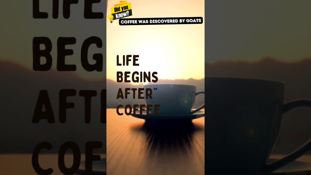 Brewing Knowledge: Test Your Coffee IQ - YouTube