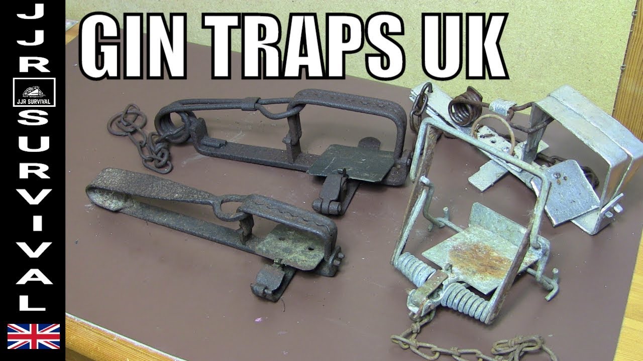 GIN TRAPS UK - YouTube