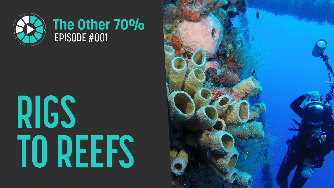 Rigs to Reefs: Innovative ocean conservation with Blue Latitudes - YouTube