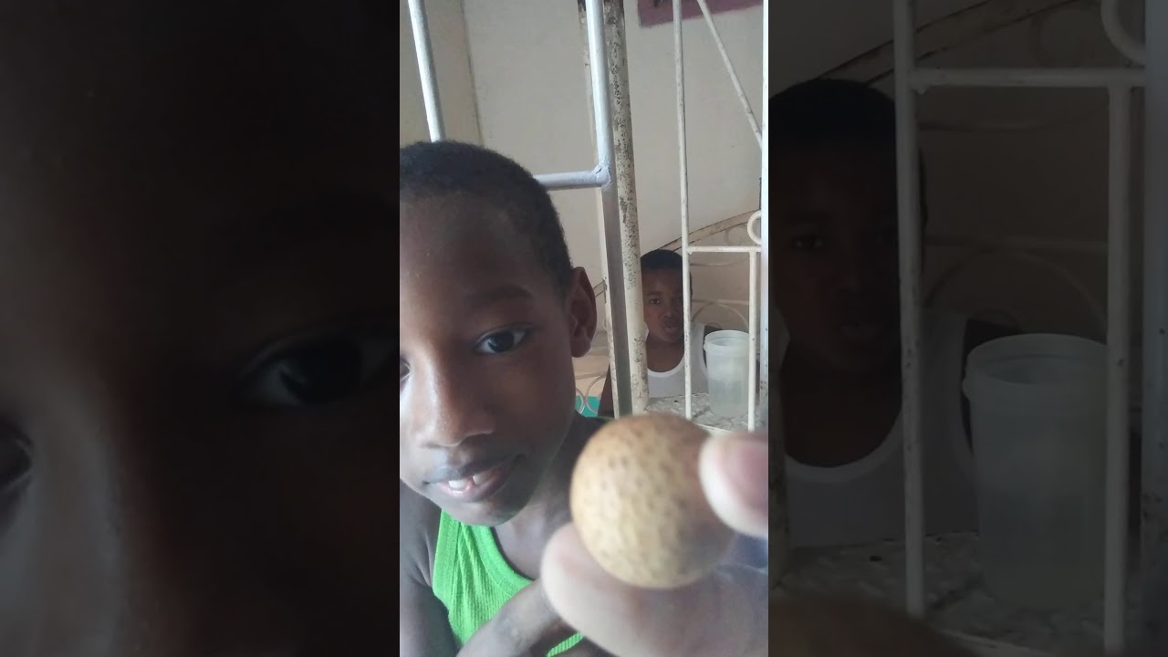 Tasting Chinese guinep for the first time - YouTube