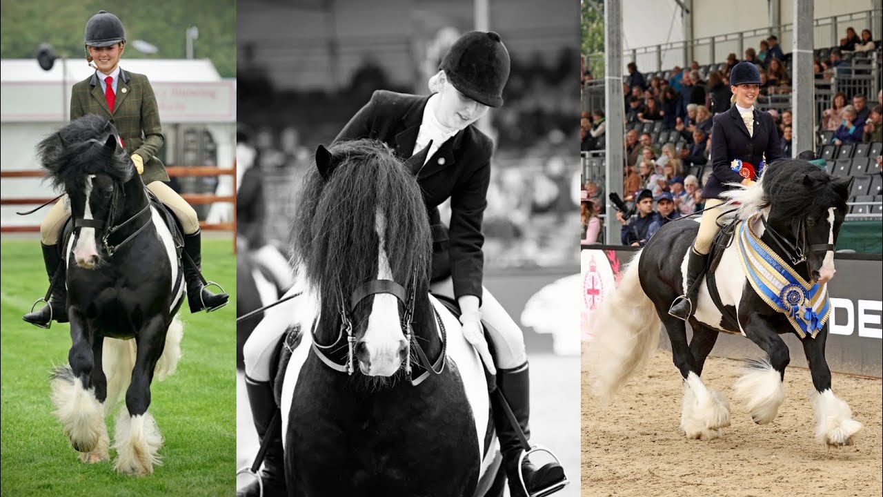 Royal Windsor Horse Show - behind the scenes with Monivea Black Magic ...