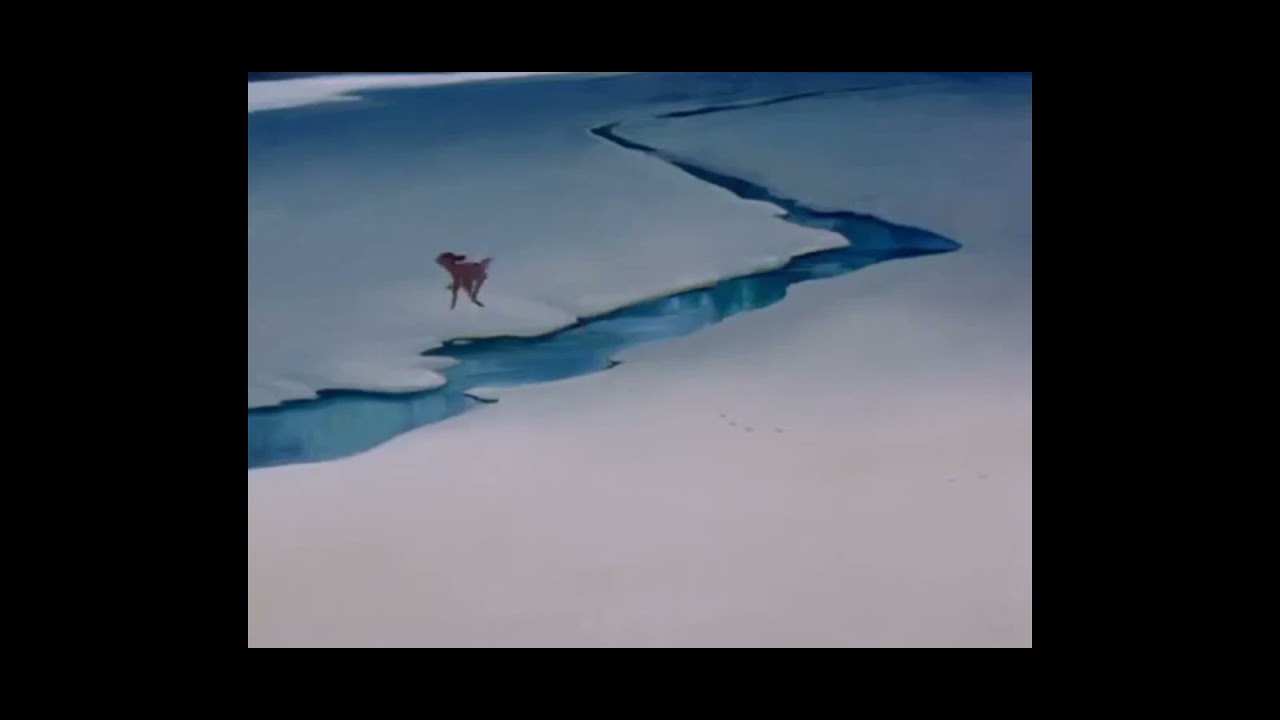 Bambi (1942) Young Bambi's Run - YouTube