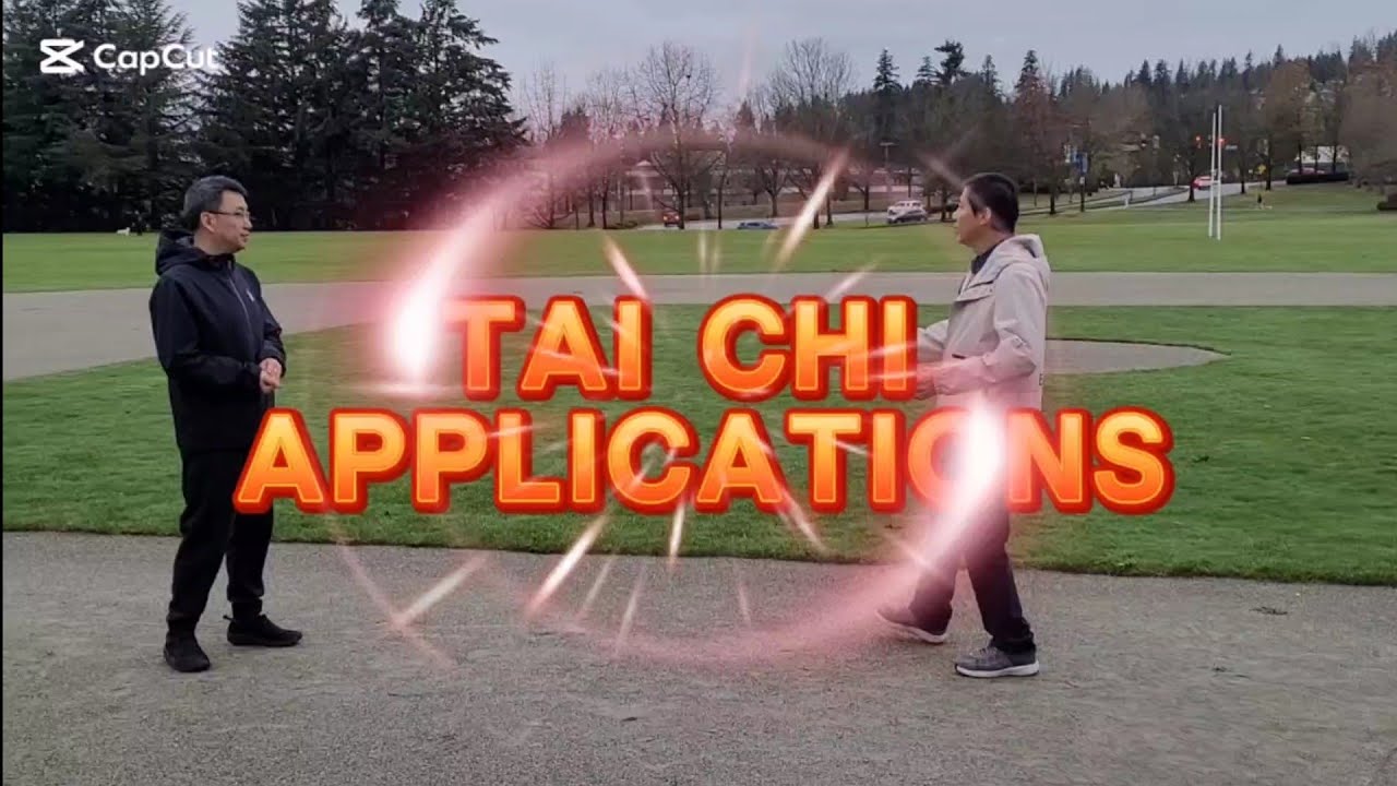 Taichi Yang Style Applications Demo - Part 4 - YouTube