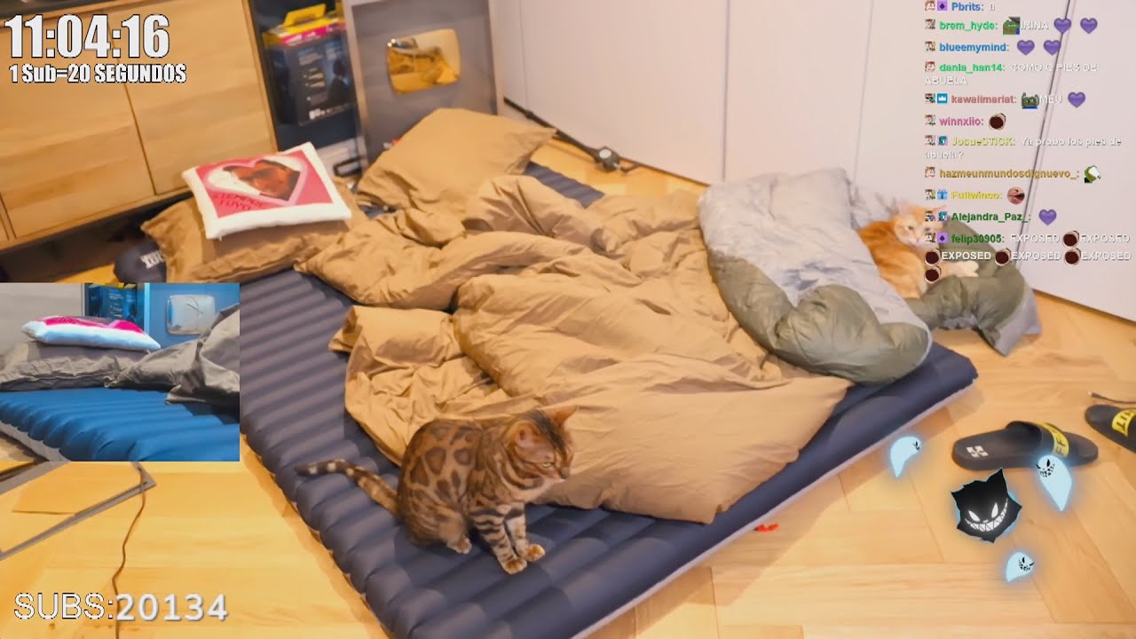 Irina Reacciona al SETUP de Rubius...😳🤭 - YouTube