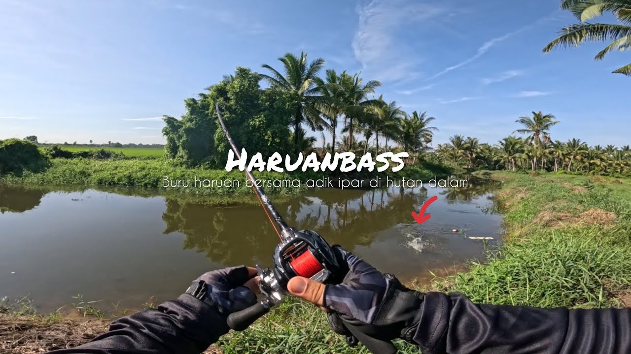 BURU HARUAN LIAR DI HUTAN DALAM / SOFT PLASTIC PUTIH KILLER / DAIWA ...