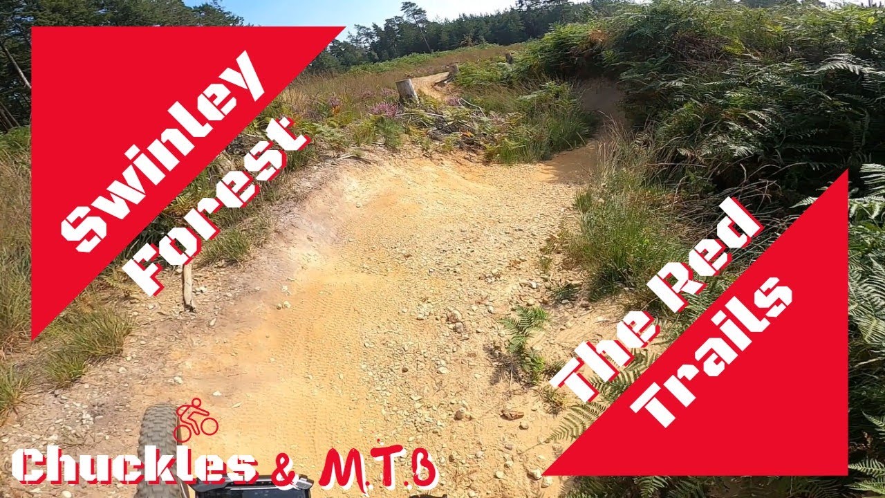 Swinley Forest Red MTB Trail / Swinley Forest / MTB trails / Novice ...