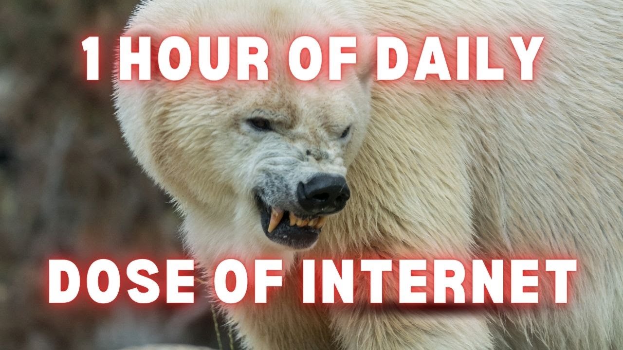 1 Hour Of Daily Dose Of Internet - YouTube